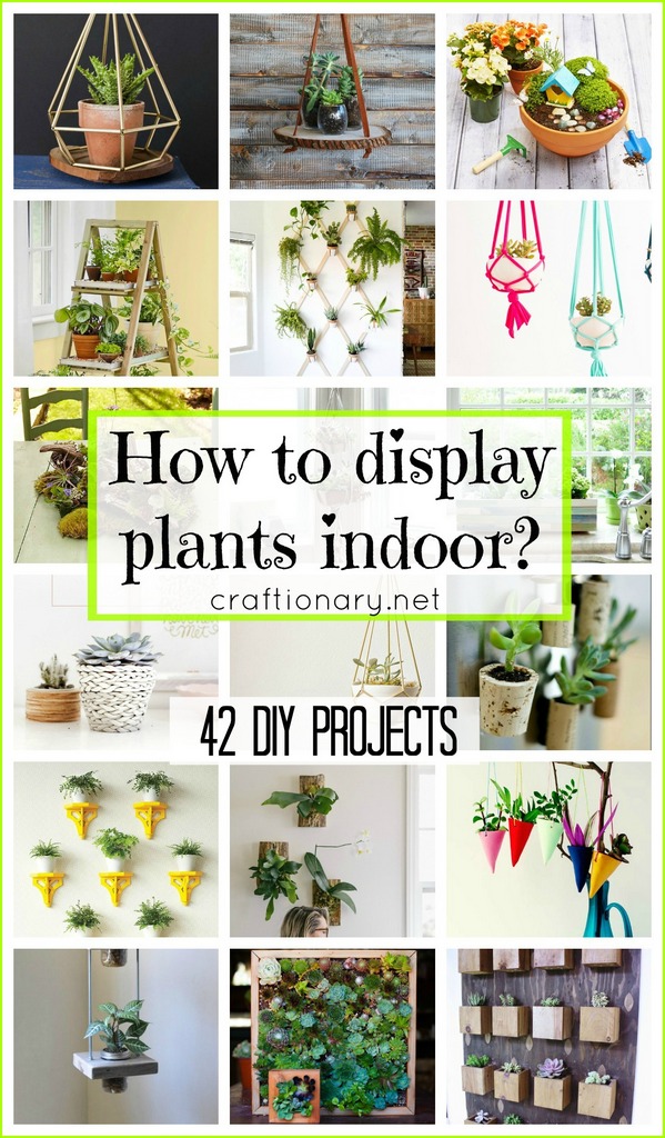 How To Display Plants Indoor HOW TO GROW INDOOR PLANT How To Display Plants Indoor HOW TO GROW INDOOR PLANT
