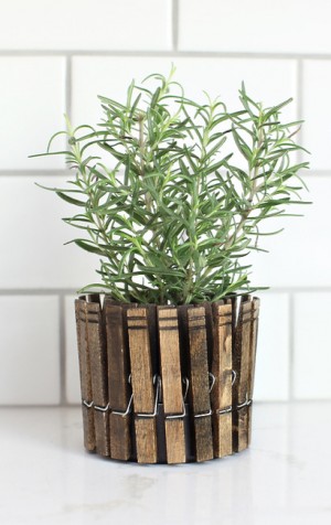 Clothes-Pin-Tableto-Planter - Craftionary
