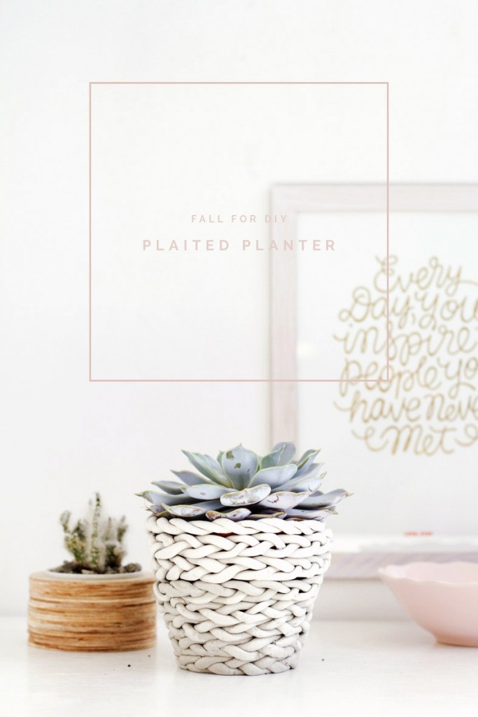 How to display plants indoor? (42 DIY Projects) - Craftionary