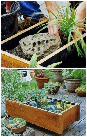 DIY Water Gardens anyone can make with easy tutorials