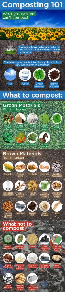 infographic-composting-101 - Craftionary