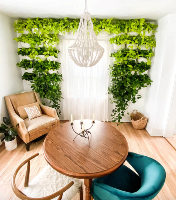 35 Vertical plant walls and gardens with design instructions