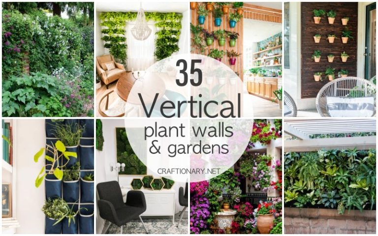 35 Vertical plant walls and gardens with design instructions