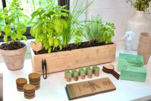25 UNIQUE Windowsill Herb Garden Ideas - Craftionary