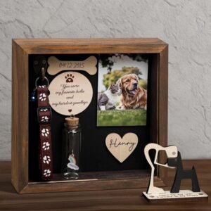 Shadow Box Ideas - Practically Smart Ways to Display - Craftionary