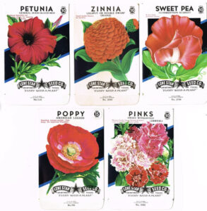 DIY Seed Packet Ideas: 20 Presentable Ways to Repack and Gift - Craftionary